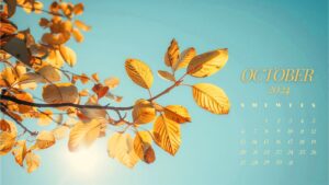 Wallpaper Aphmau - KoLPaPer - Awesome Free HD Wallpapers