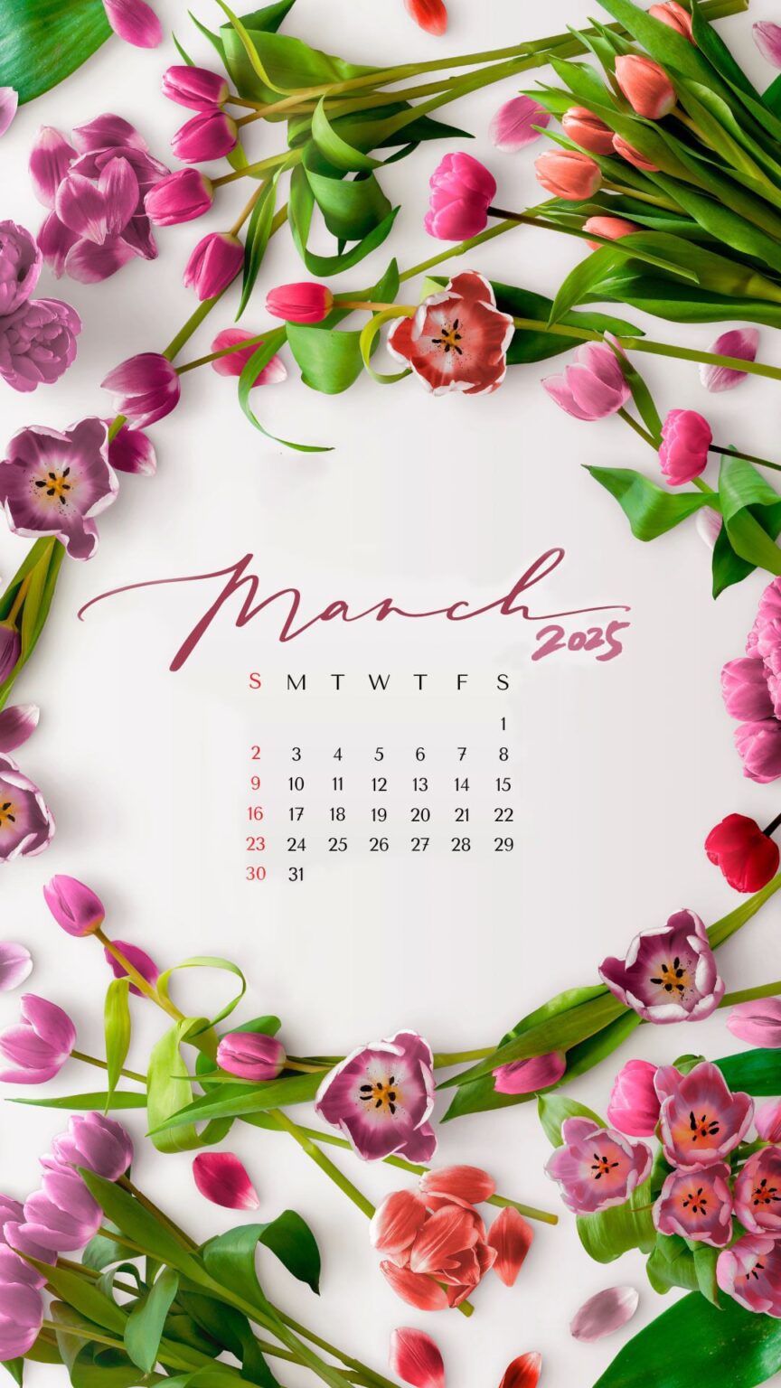 March 2025 Wallpaper - KoLPaPer - Awesome Free HD Wallpapers