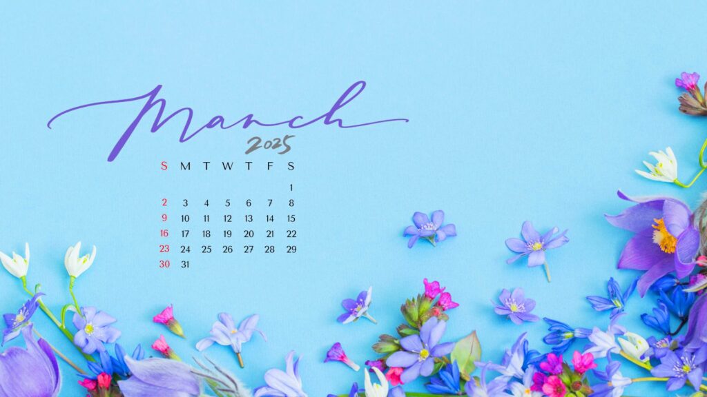 March 2025 Wallpaper - KoLPaPer - Awesome Free HD Wallpapers