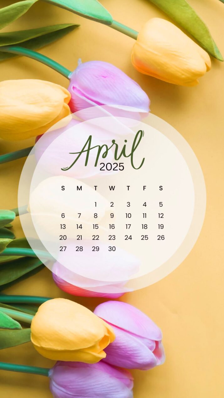 Needy Streamer Overload Wallpaper - KoLPaPer - Awesome Free HD Wallpapers