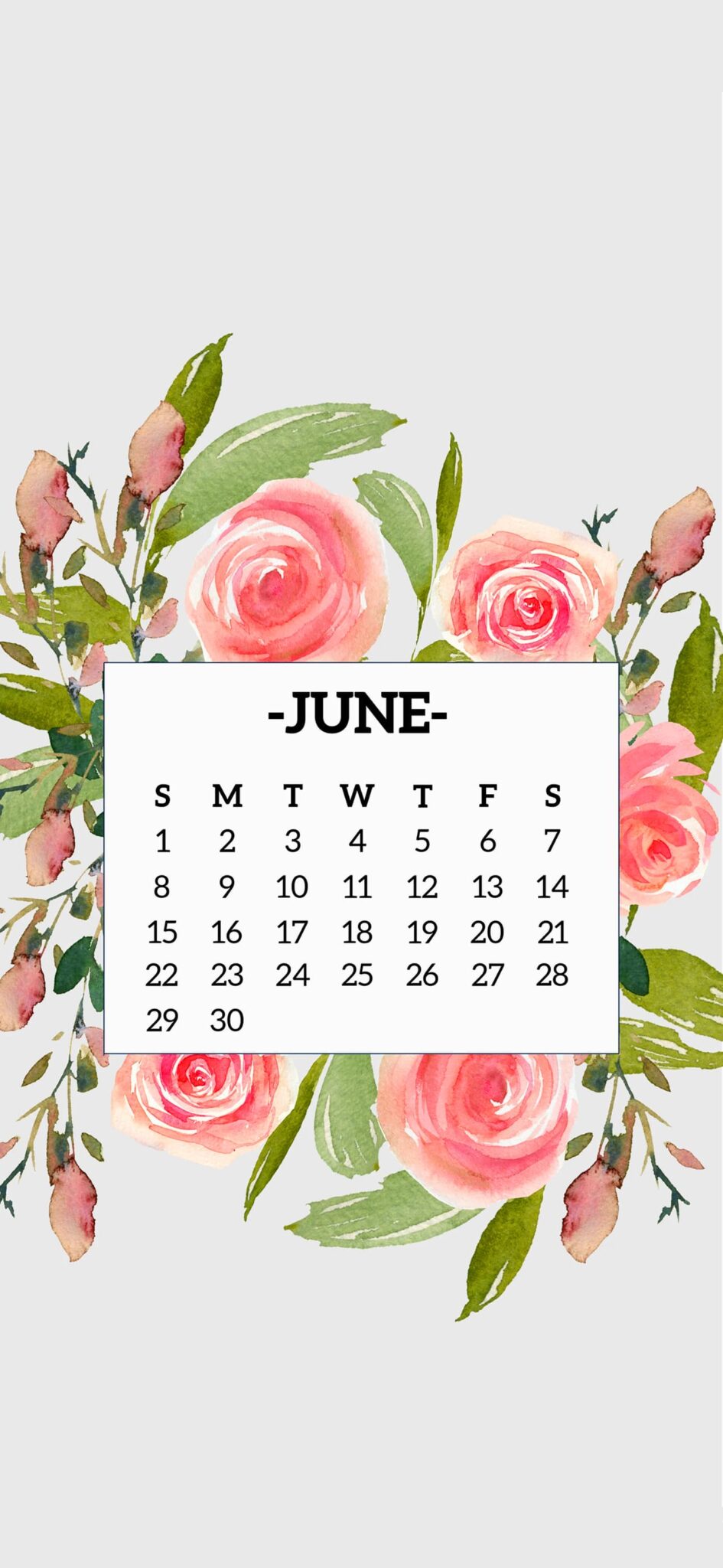 Kawaii Animal Wallpaper - KoLPaPer - Awesome Free HD Wallpapers