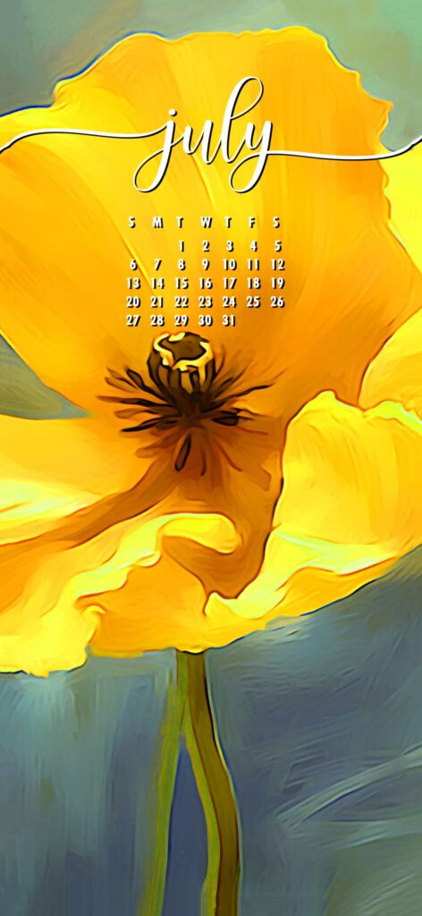 Baggu Desktop Wallpaper - KoLPaPer - Awesome Free HD Wallpapers